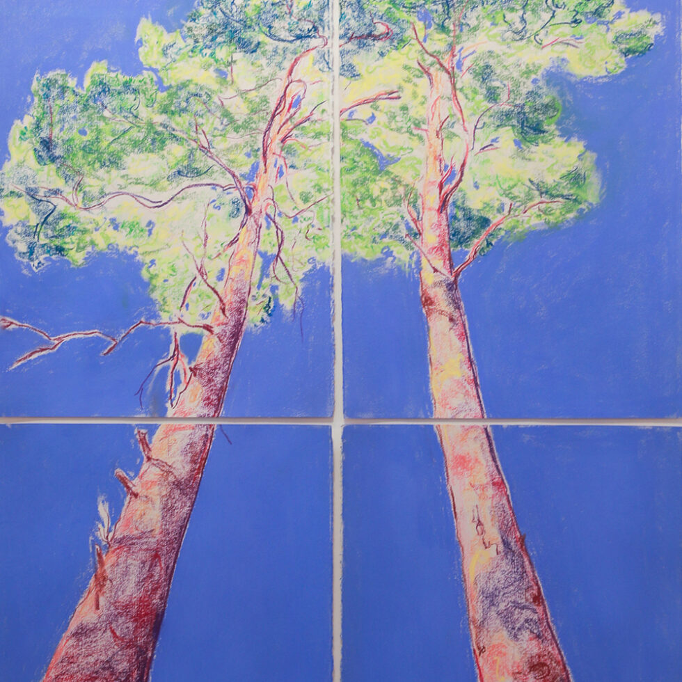 Bodil Drange Pedersen - Galleri GEO